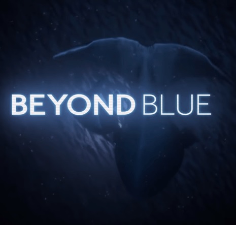 Beyond Blue gra, poradnik, opis, tips and tricks - Przygodowe
